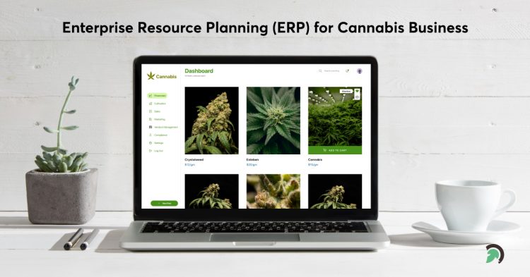 How Can Technology Help in the Success of Your Cannabis Business?