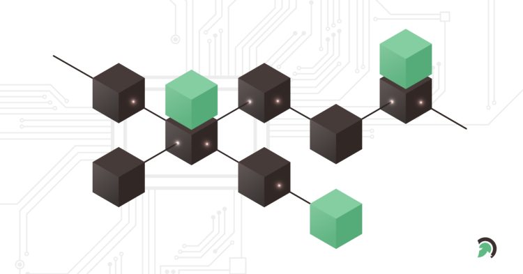 Image Recognition Software Development | Crafting Tomorrow